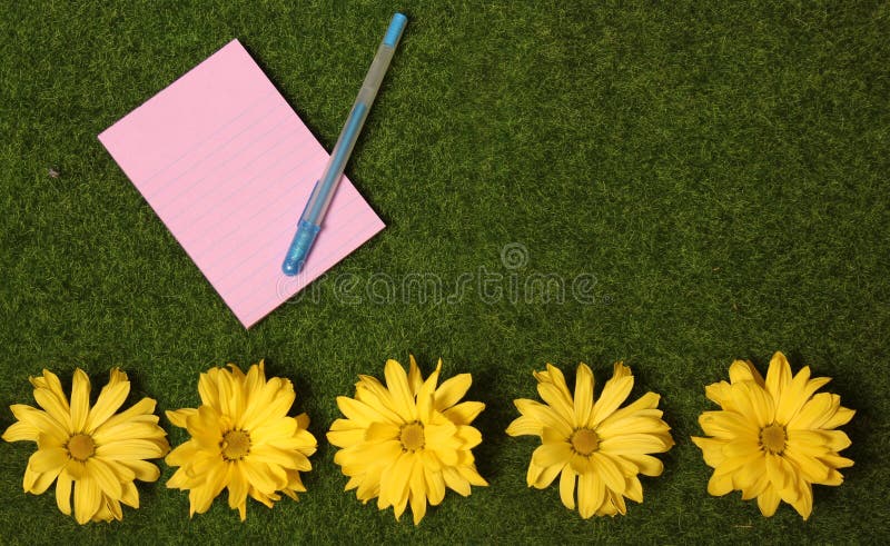 Blank Note Paper on Green Grass Background with Colorful Flowers Stock ...