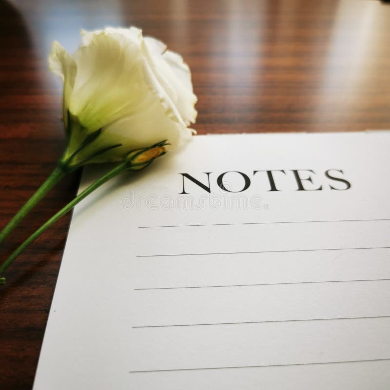 Blank Paper for Notes and a White Rose Nearby. Stock Photo - Image of ...