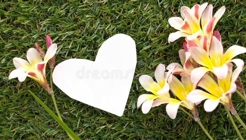 Blank Note in Shape of Heart, with Flowers. Stock Photo - Image of bell ...