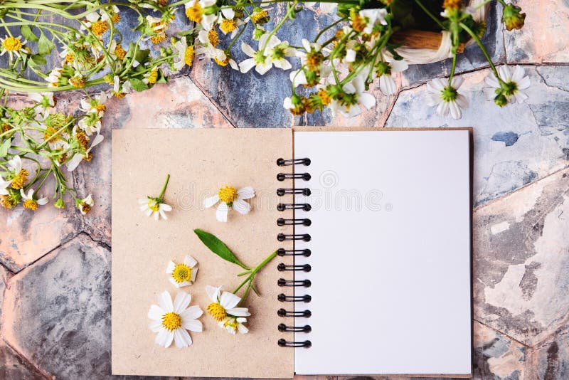 Blank Notebook with White Flower and Bas Ket of Flower on Vintage Stock ...