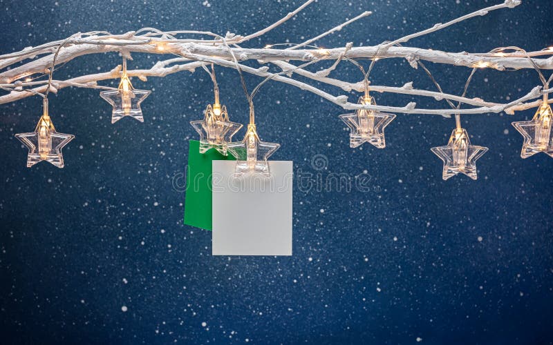 Notes on a Tree Branch, Orange Paper is Hanging on the Tree on the ...