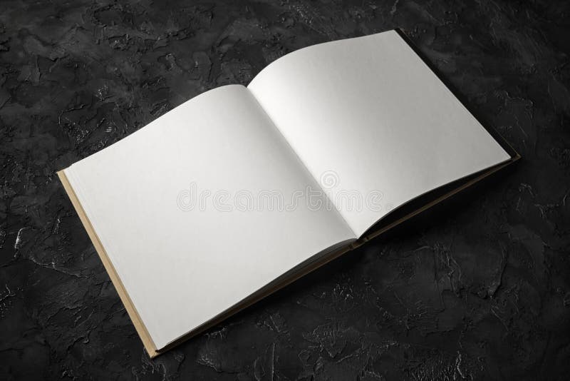 Blank open book stock photo. Image of diary, elegant - 93218232