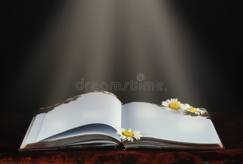 Open Book with Rays of Light Stock Photo - Image of cover, beautiful ...