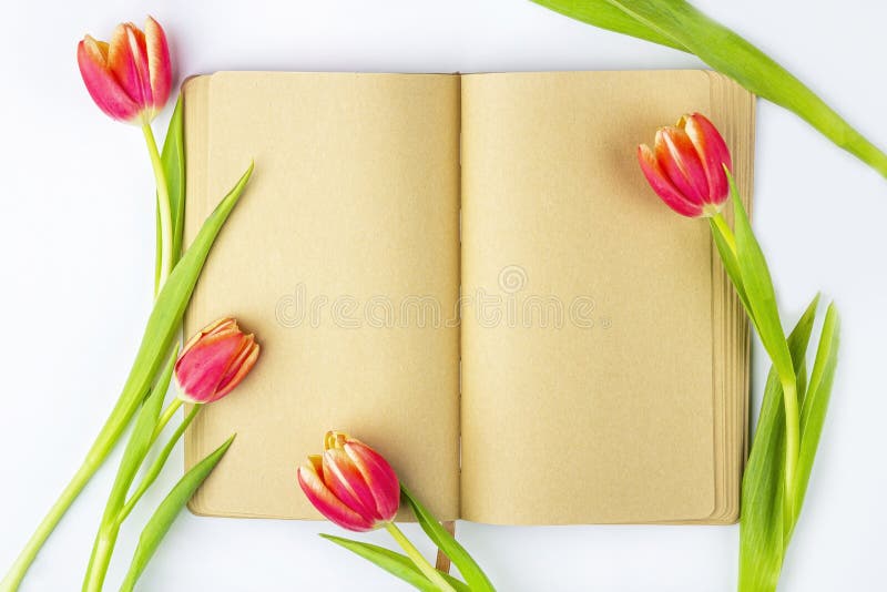 Blank Open Diary Notebook, Sketchbook Decorated with Spring Red Tulips ...