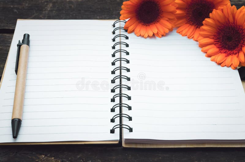 Blank page note pad. stock image. Image of blank, romantic - 120314619