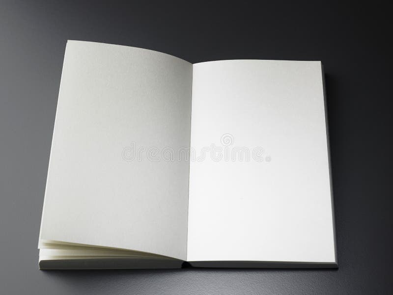 Blank page stock photo. Image of paper, concept, clean - 48738460