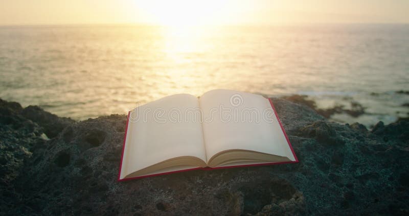 Open Book at Sunset Light Outdoors. Sacred Holy Bible on Rocky Beach ...