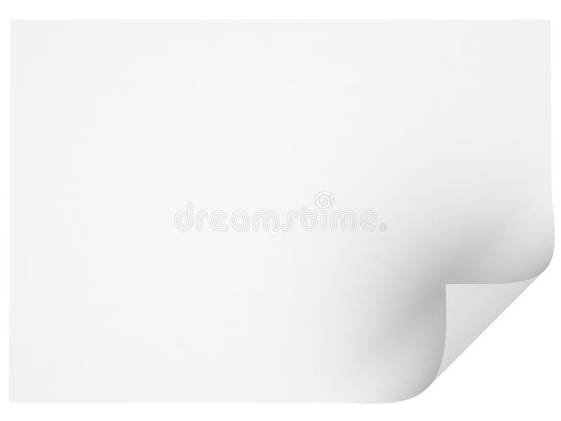 Blank sheet of paper stock vector. Illustration of curl - 23902859