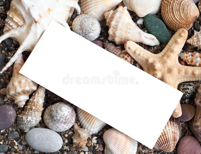 Blank Paper on the Beach Sand Stock Image - Image of greeting, shell ...
