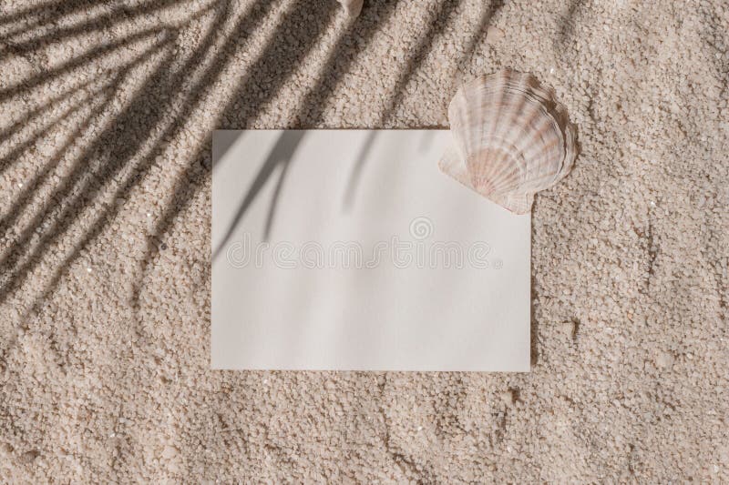 Blank Paper Card and Sea Shell on Sand Background, Postcard or ...
