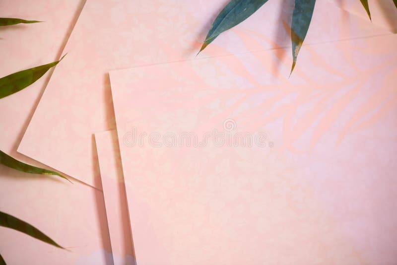 Blank Paper and a Colorful Nature Background Stock Photo - Image of ...