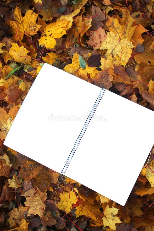 Blank paper on fall leaves stock photo. Image of memory - 81013900