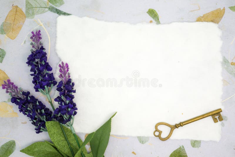 Blank Paper with Lavender and Old Key Stock Image - Image of texture ...