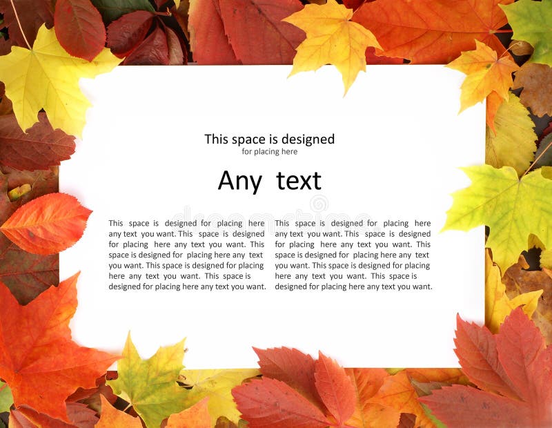 A Blank Paper Lying on Fallen Autumn Leaves Stock Photo - Image of leaf ...