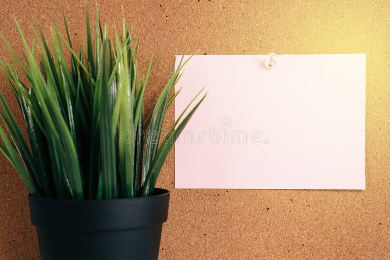 Blank Paper Note on Cork Board with Green Plant in Pot. Stock Image ...