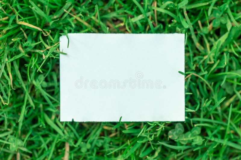 Blank Paper Note on Green Grass, Top View with Copy Space Stock Image ...