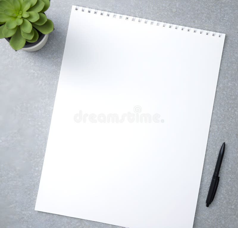 A Blank Paper and a Pen on Office Desk. Mock Up Blank Paper. Stock ...