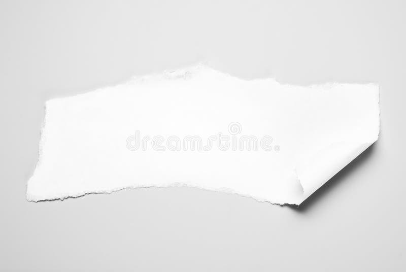 Paper Scrap of Dot Matrix Printer Paper Tear Off Edges Stock Image ...