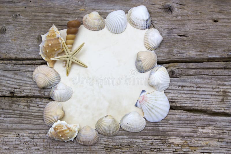 Blank paper with seashells stock image. Image of travel - 89739483