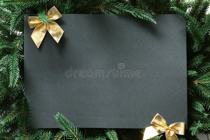 Blank Paper Sheet with Fir Tree Branches Stock Photo - Image of decor ...