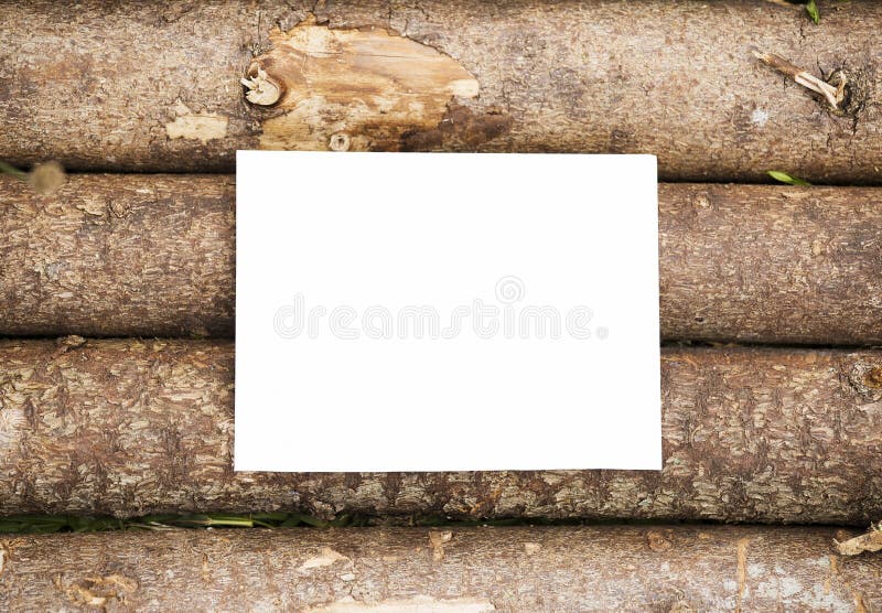 Blank Paper Sheet on Wood Log Background with Wild Flowers Stock Photo ...