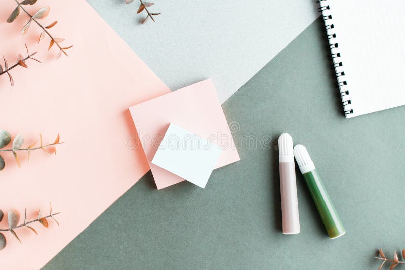 Blank Paper for Writing, Notepad, Felt-tip Pens and Eucalyptus Branches ...
