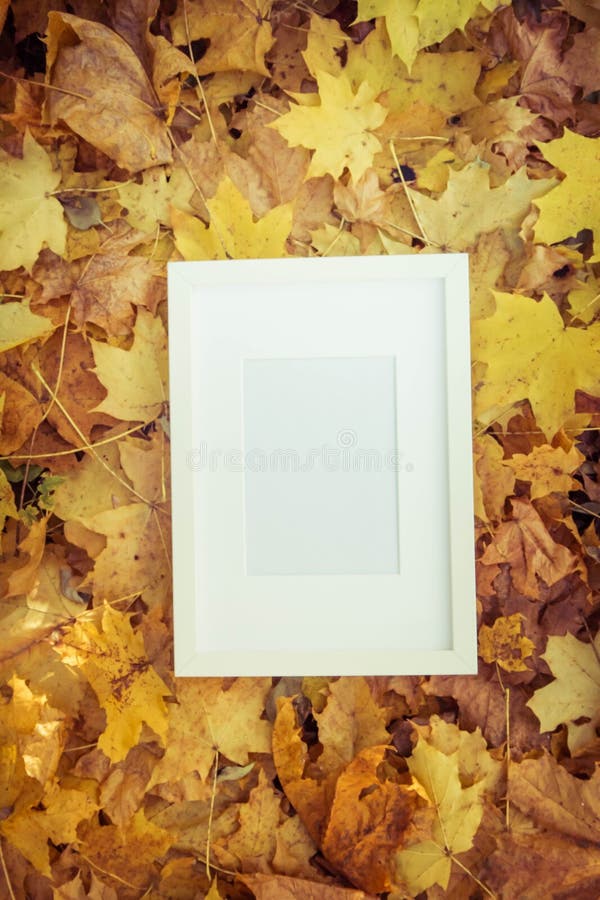 Blank picture frame stock image. Image of leaves, leaf - 233739547