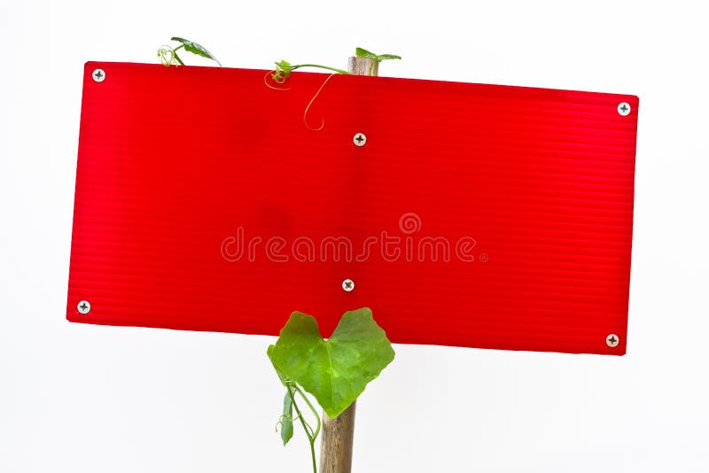 Blank Red Signs Isolated White Stock Image - Image of label, leaf: 22870981