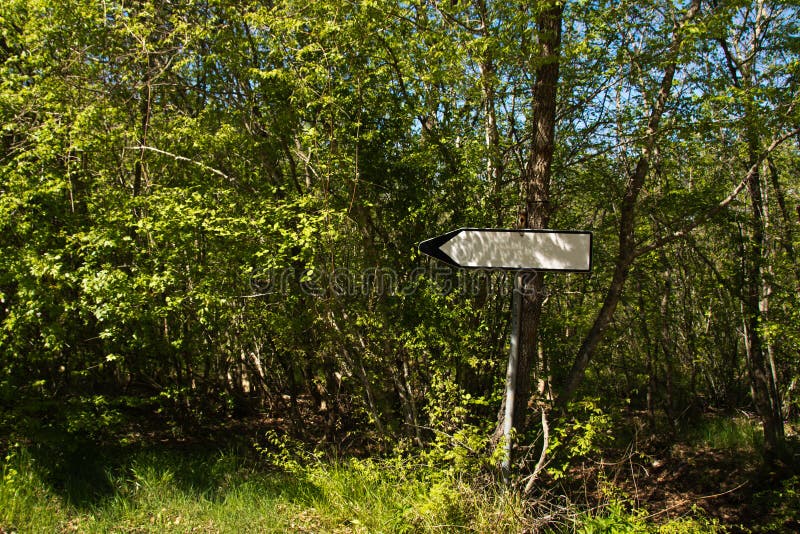 Blank Road Sign in the Forest Stock Image - Image of guidepost ...