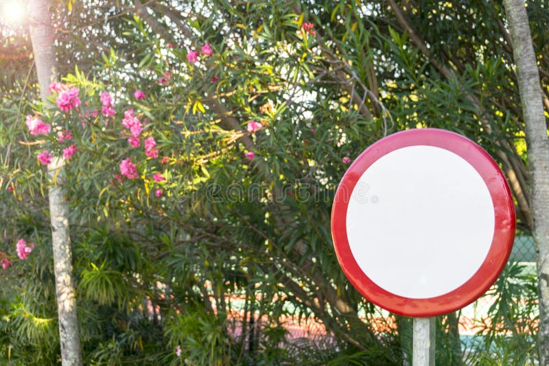 Blank Round Sign in Tropical Forest with Space for Text, Empty Space ...