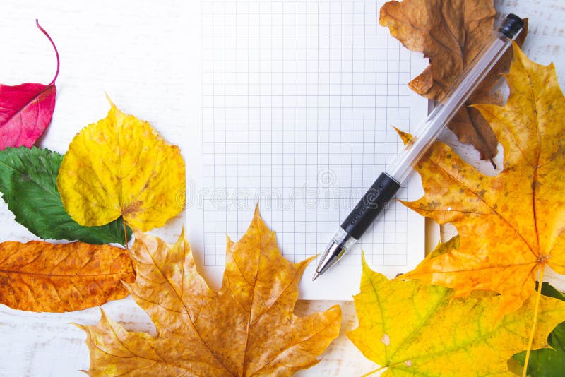 Blank Sheet of Notebook for Entries in Autumn Leaves. Writing Pen and ...