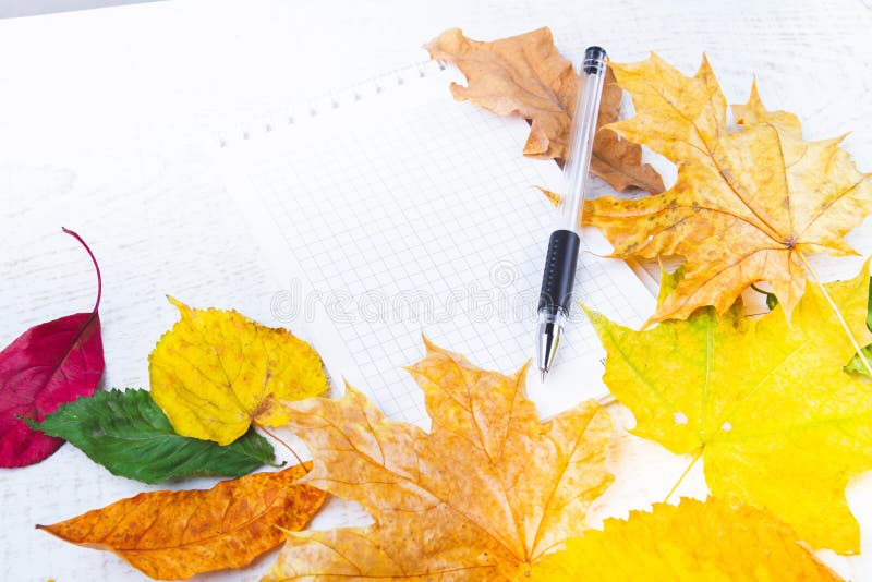 Blank Sheet of Notebook for Entries in Autumn Leaves. Writing Pen and ...