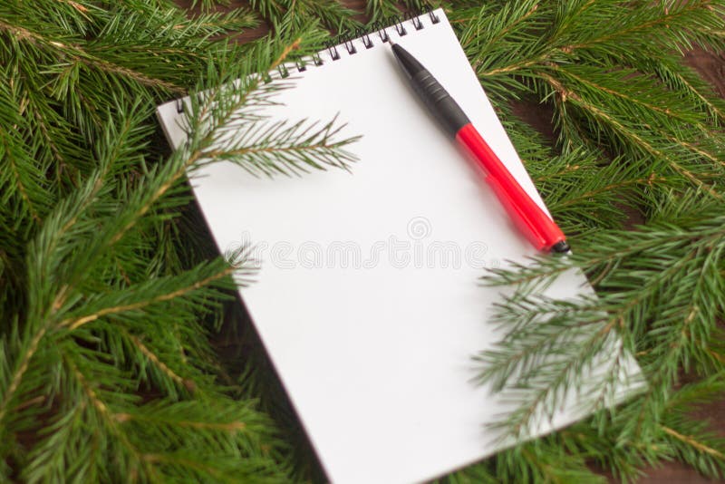 A Blank Sheet of Paper and a Pen for Writing on Spruce Branches Stock ...