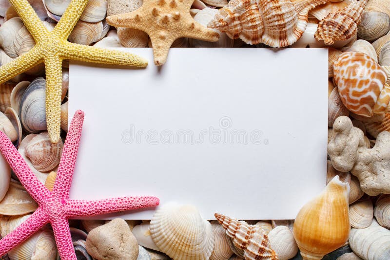 Blank Sheet of Paper on Sea Shell Background Stock Image - Image of ...