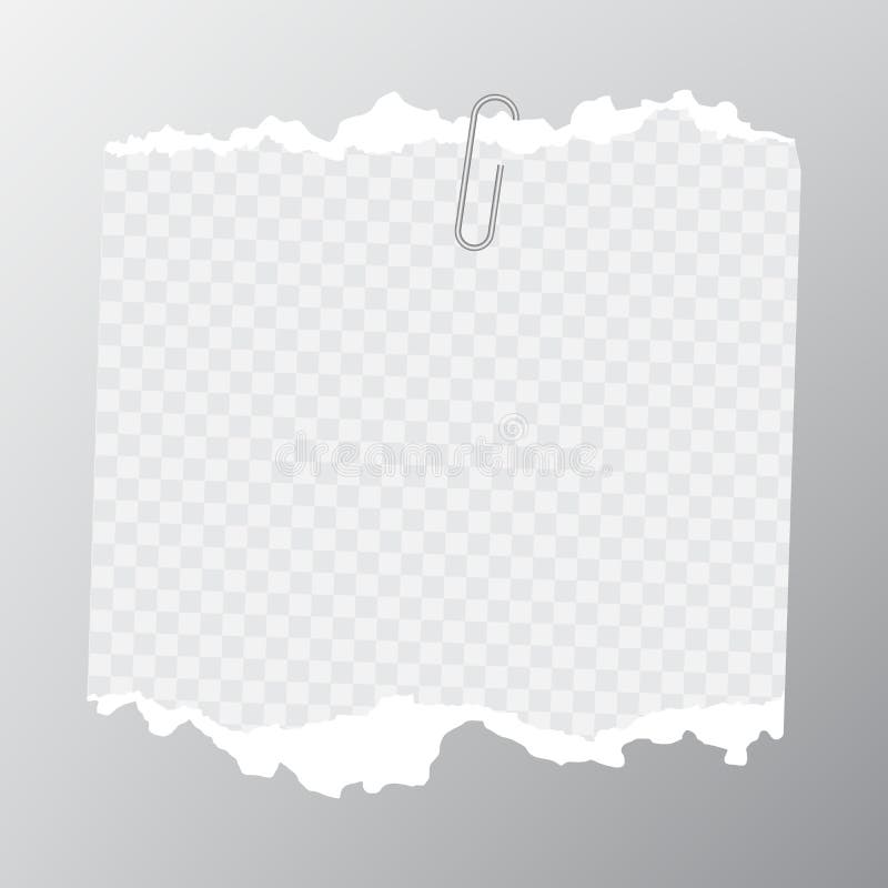 Blank Sheet of Torn Paper for Text or Message. Torn Paper Edge Stock ...