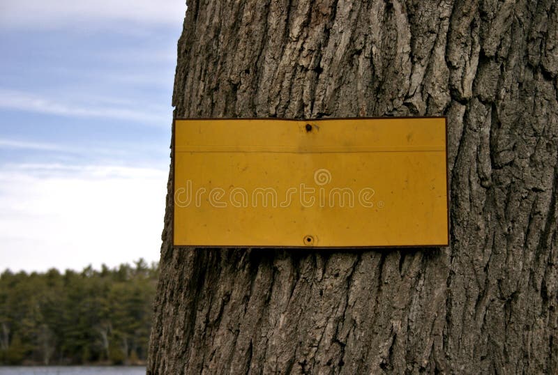 Blank sign on tree stock photo. Image of nature, warn, trespassing - 110782