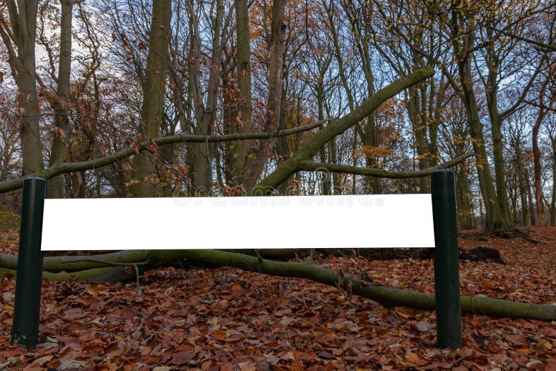 Blank Sign Board in a Park in Autumn Seasan Fall Leaves Stock Image ...