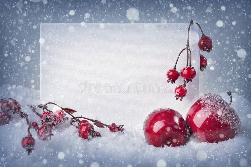 Blank Sign with Christmas Decorations Stock Photo - Image of copy, life ...