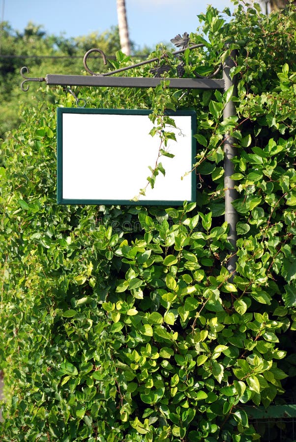 Blank Sign with a Copy Space Area Stock Image - Image of announce ...