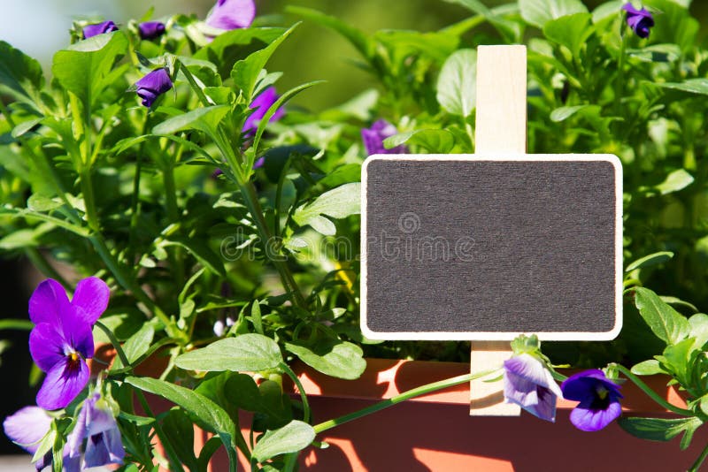 Blank Signboard in the Meadow Stock Image - Image of flowering, meadow ...