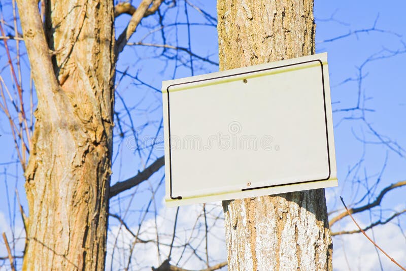 Blank Sign Indicating Hanging on the Tree Trunk Against a Blue Sky ...