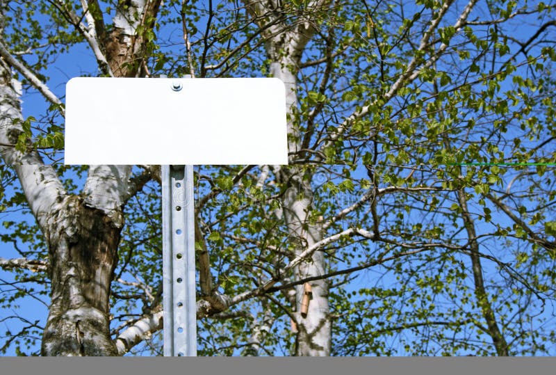Blank Sign In Spring Forest Stock Image - Image of trees, billboard ...