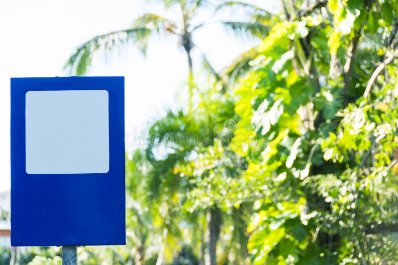 Blank Sign in Tropical Forest with Space for Text, Empty Space Stock ...