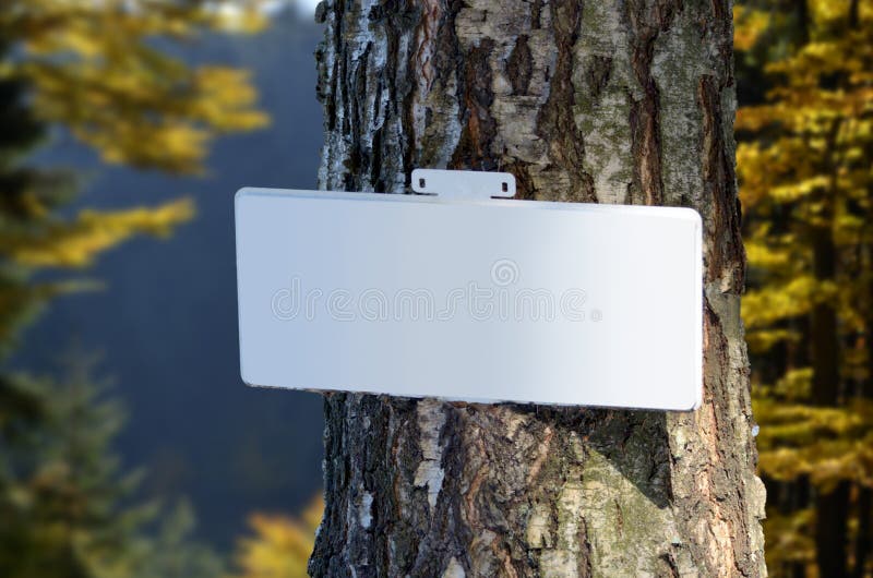 Blank Sign on Trunk of Tree in Autumn Forest Stock Photo - Image of ...