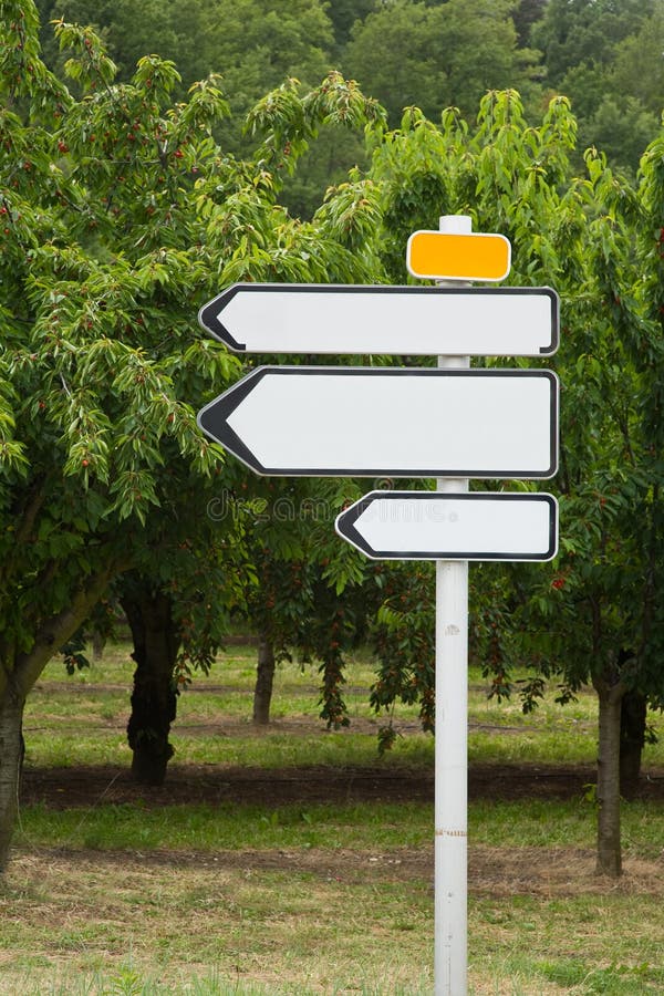 Blank Signpost stock photo. Image of crossroads, road - 9880020