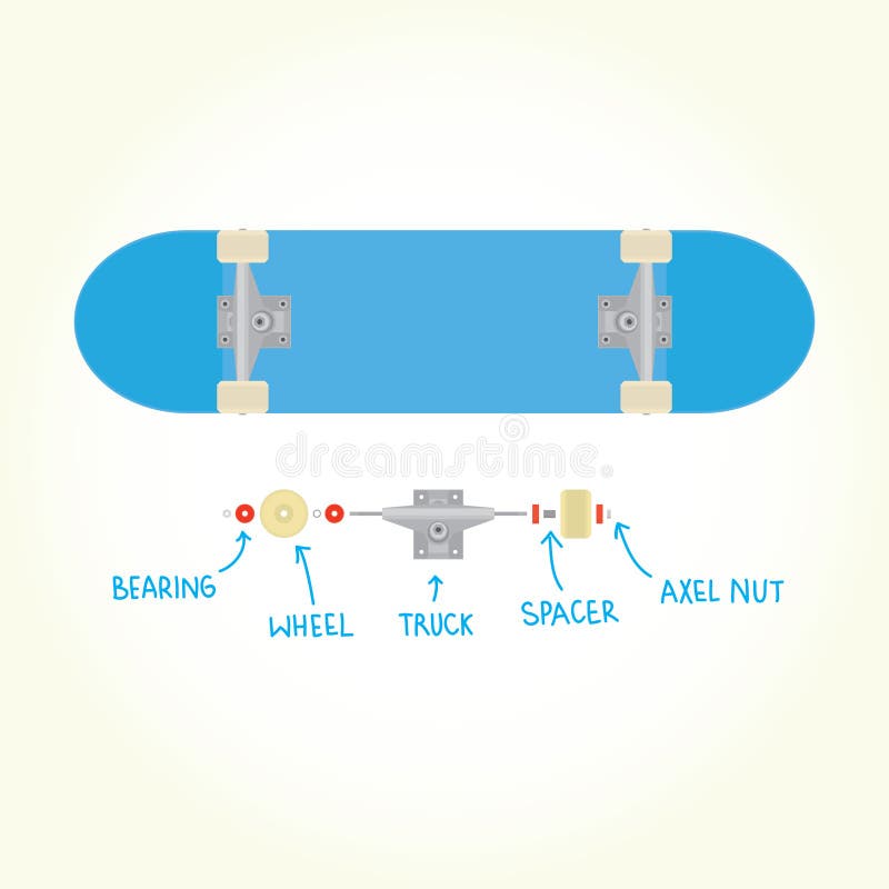 Blank Skateboard and Parts Isolated Vector Stock Vector - Illustration ...