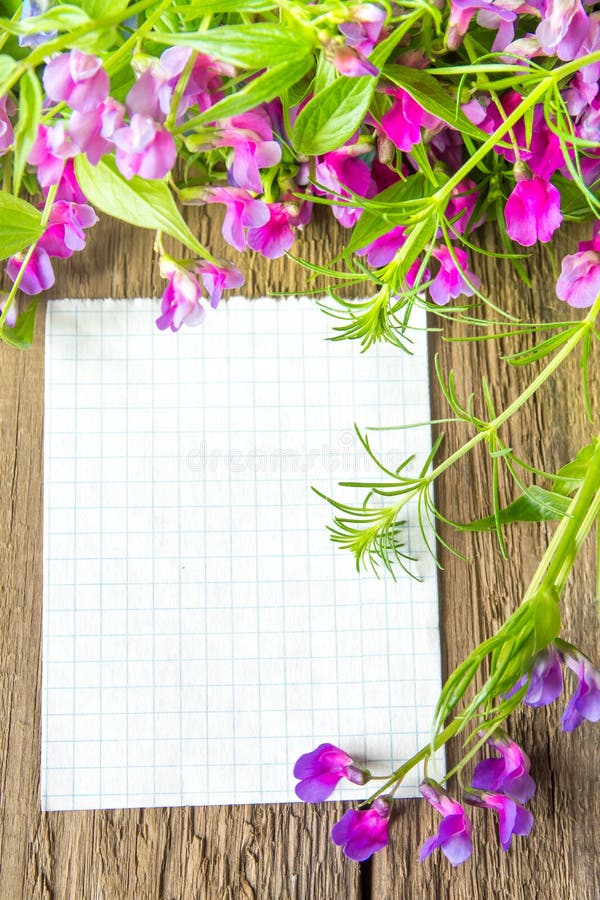 Blank with spring flowers stock photo. Image of floral - 31313524