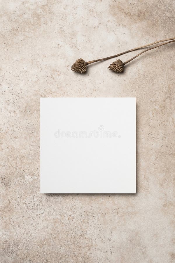 Blank Square Invitation or Flyer Card Mockup, Copy Space Stock Photo ...