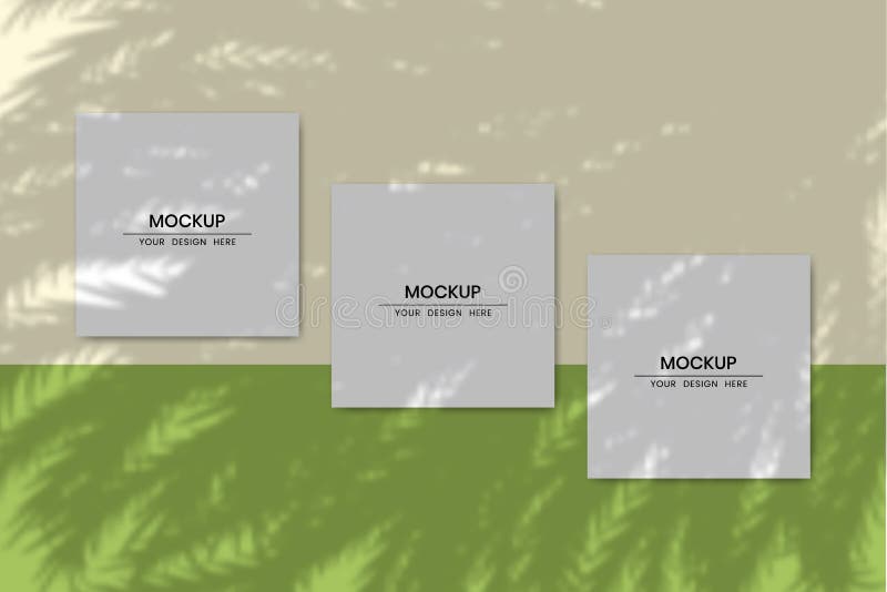 Blank Square Paper Cards Template with Shadow Overlay Effect Stock ...