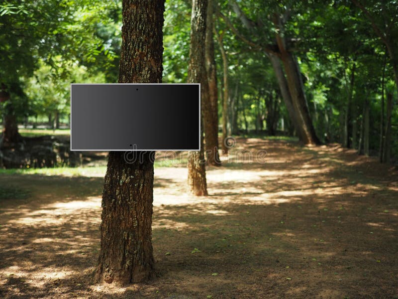 A Blank Square Sign on a Tree in the Forest beside the House Stock ...